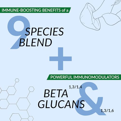 mushroom supplement for energy