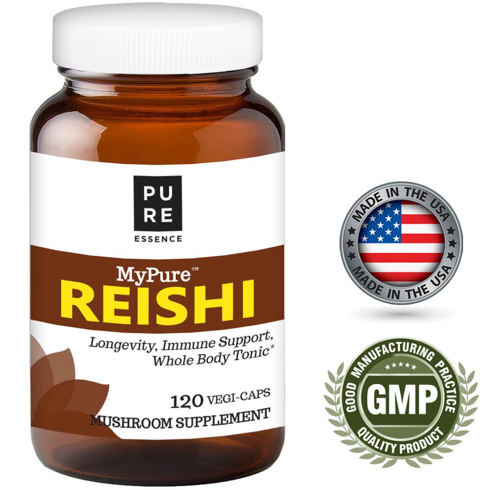 Mushroom supplement for enhanced focus