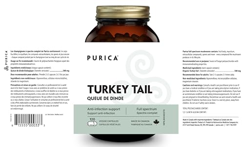 Mushroom supplement for everyday use