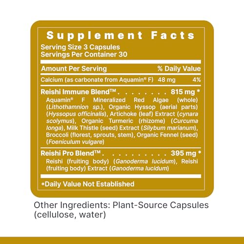 mushroom supplement for everyday vitality