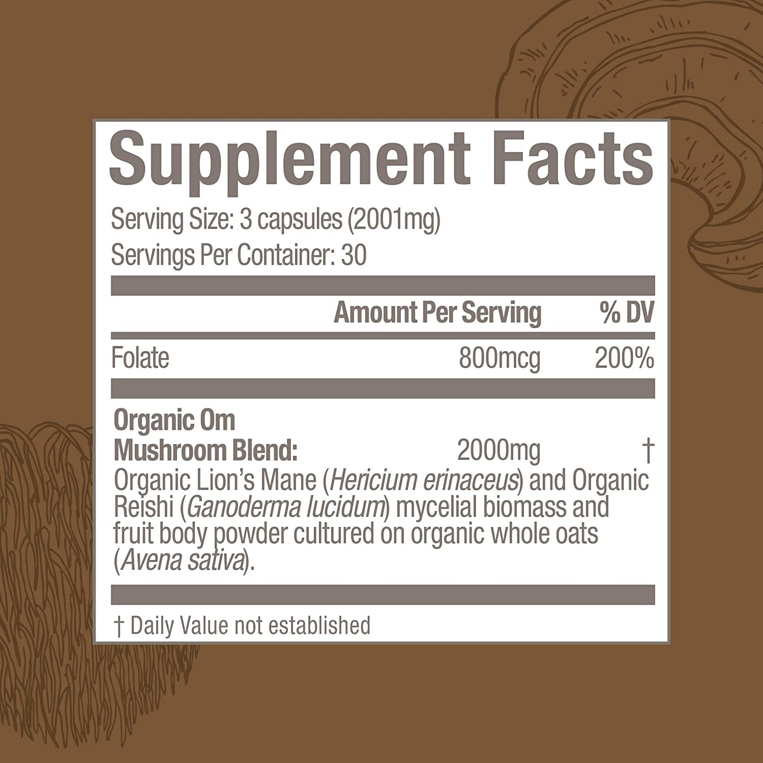 Mushroom supplement for everyday wellness