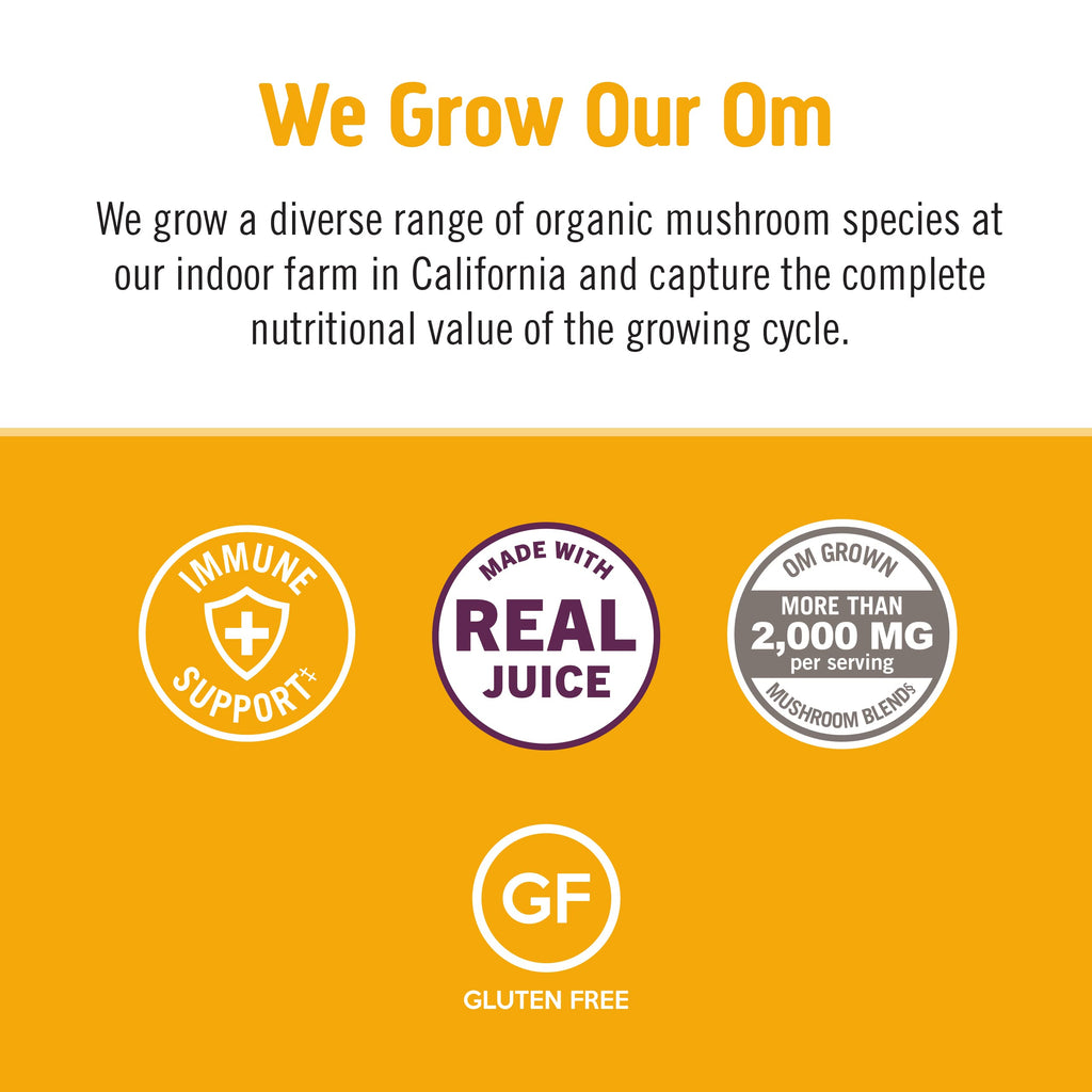 Mushroom supplement for everyday wellness