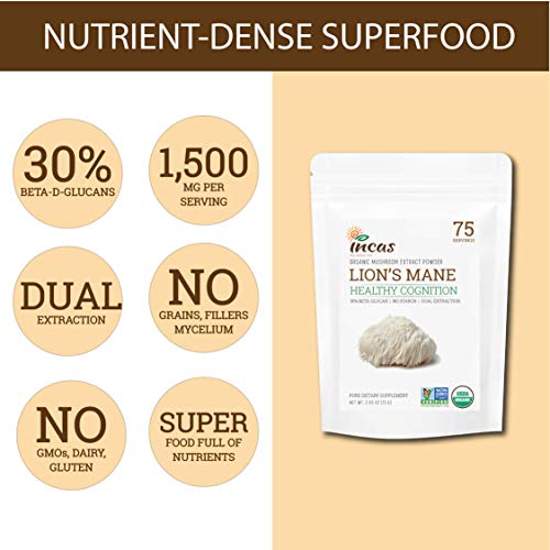 mushroom supplement for focus and memory