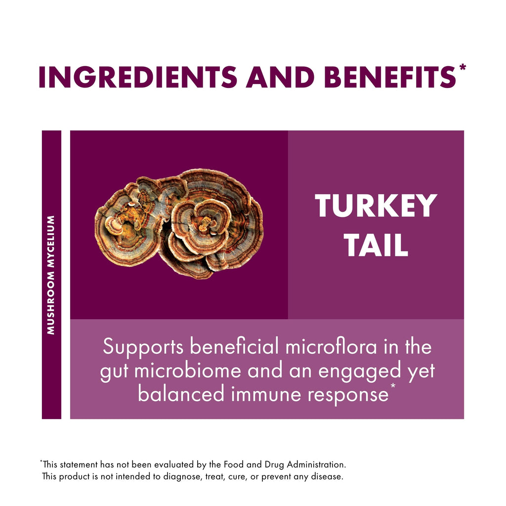 Mushroom supplement for gut health