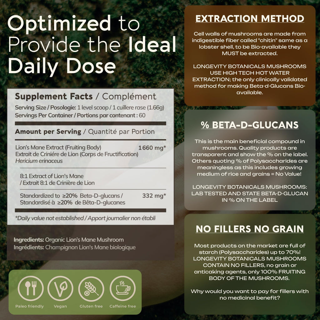 mushroom supplement for gut health
