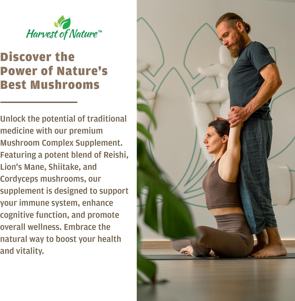 mushroom supplement for holistic health