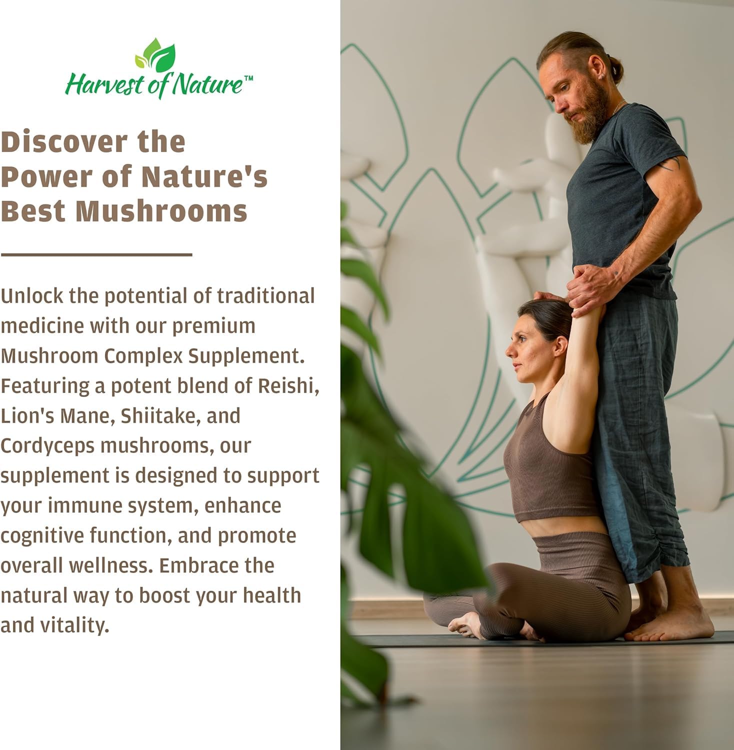 mushroom supplement for holistic health