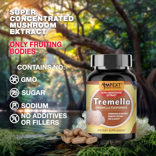 Mushroom supplement for holistic health