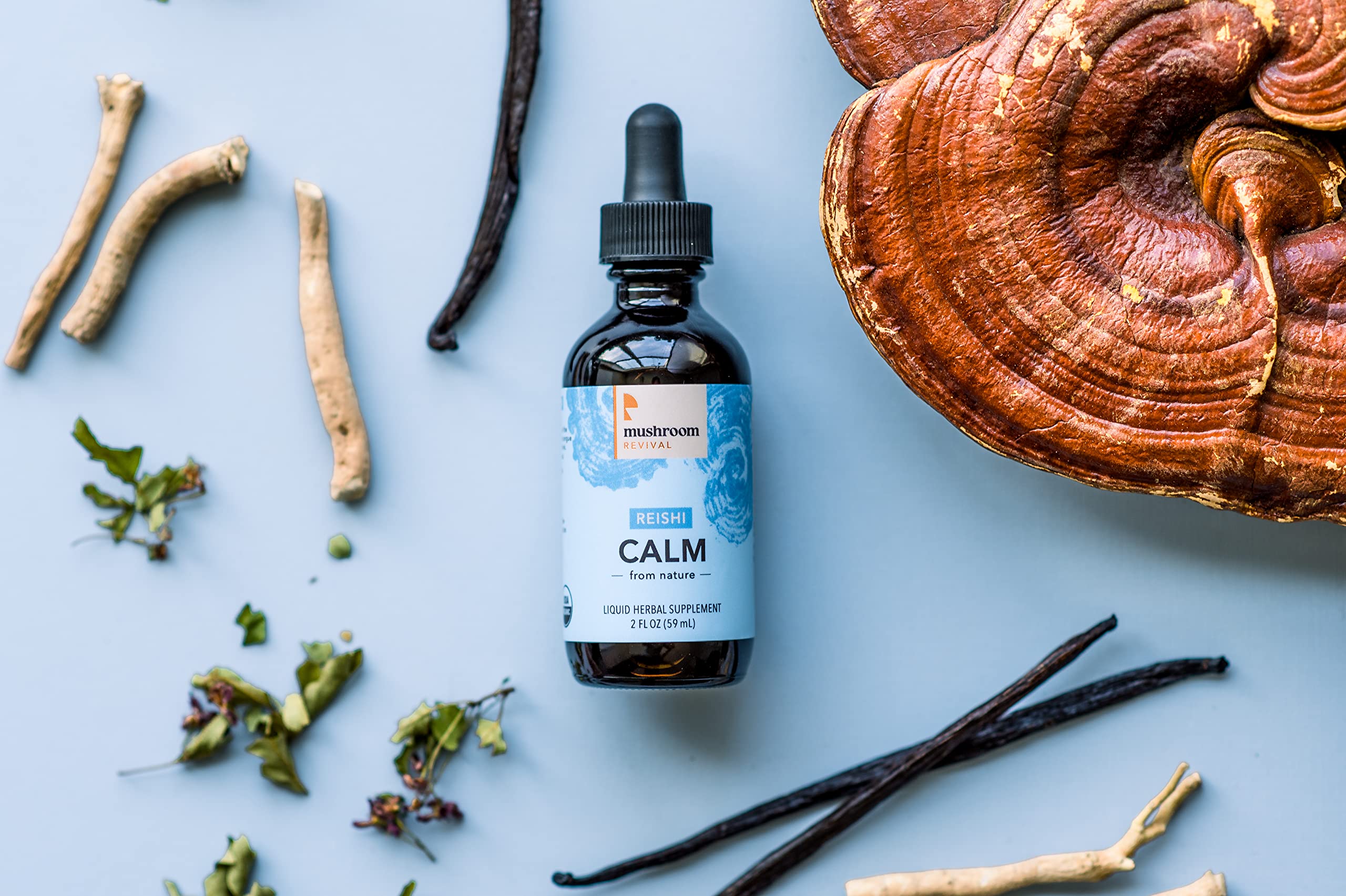 mushroom supplement for holistic health