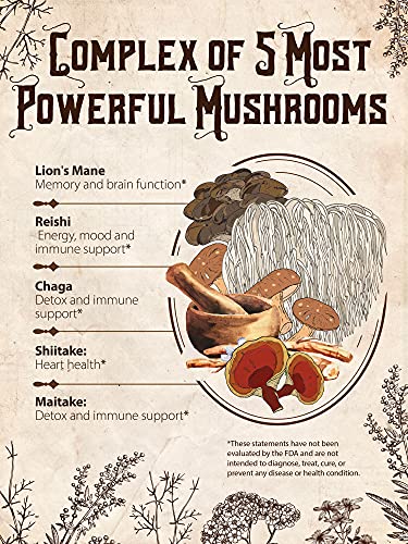 Mushroom supplement for holistic health