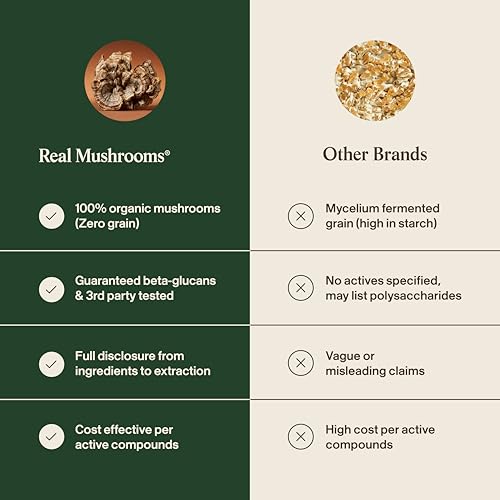 mushroom supplement for holistic health