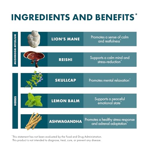 mushroom supplement for holistic health