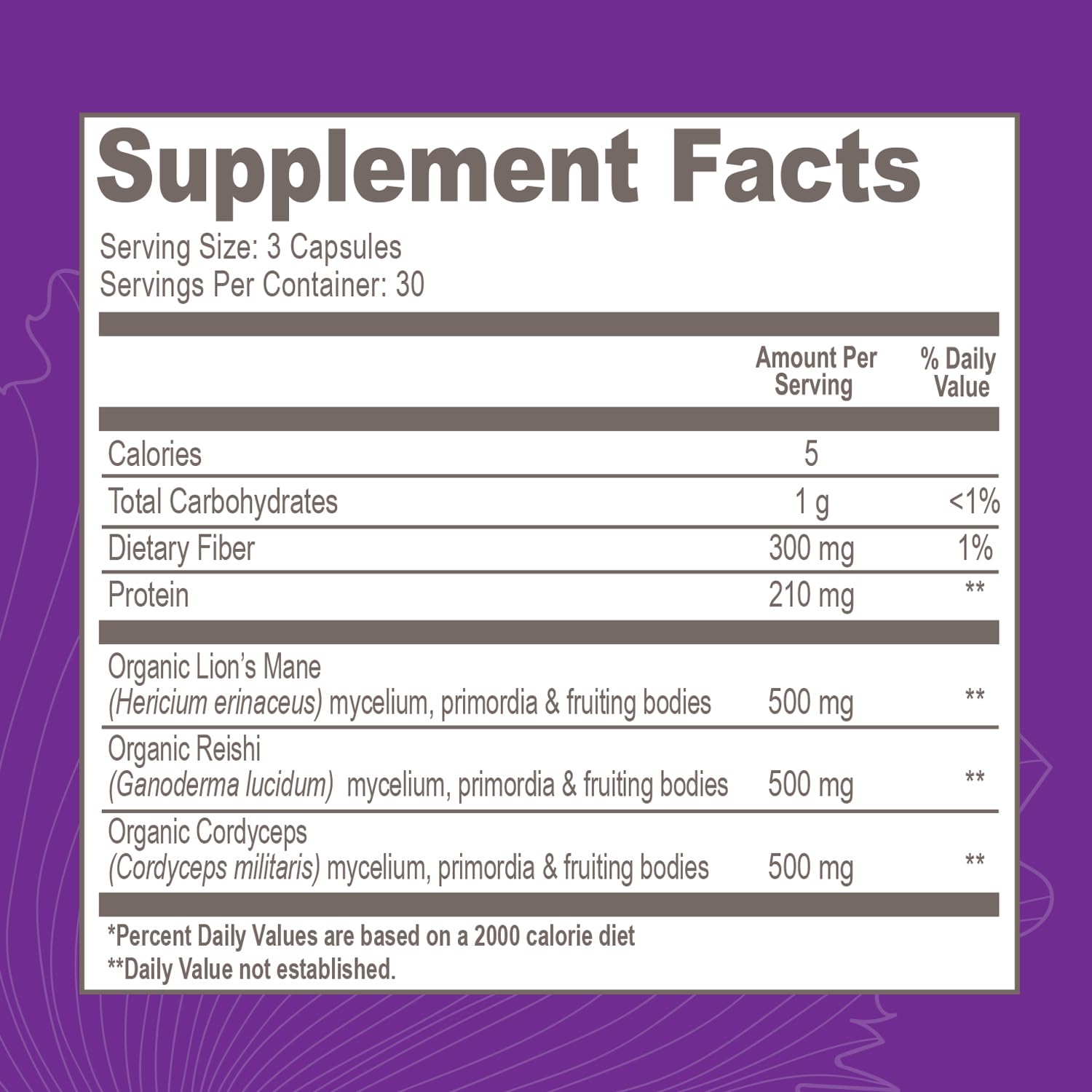 mushroom supplement for holistic health