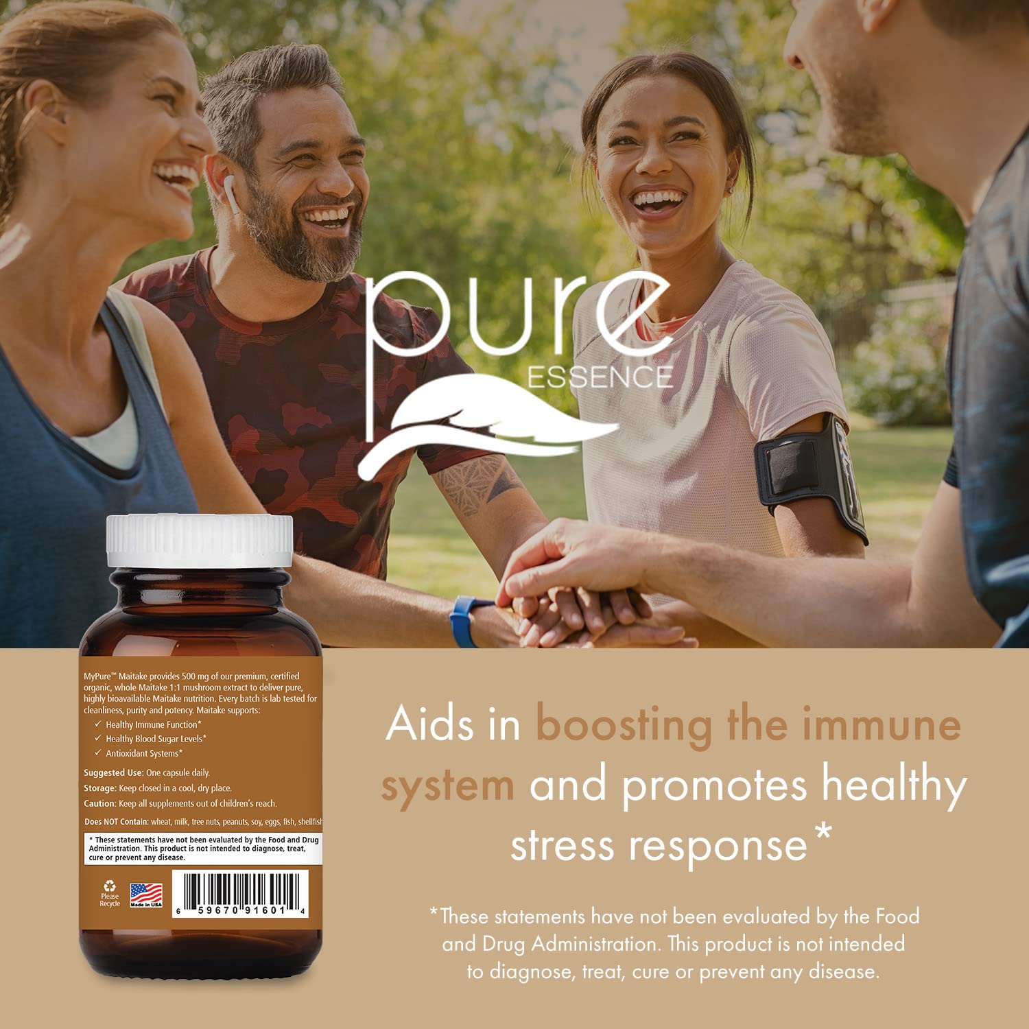 Mushroom supplement for holistic health