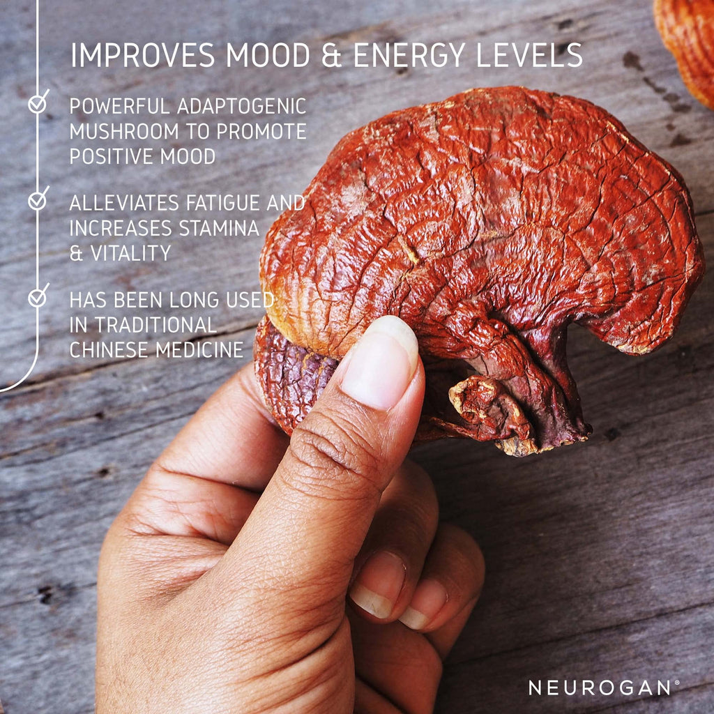 Mushroom supplement for holistic health