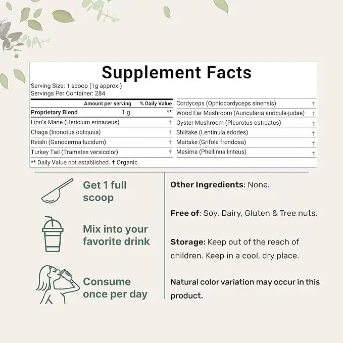 mushroom supplement for holistic wellness