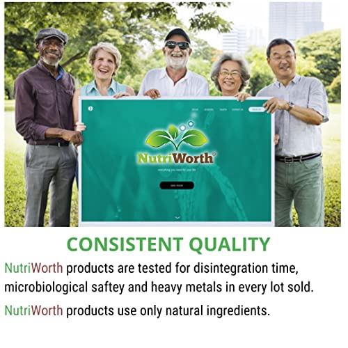 mushroom supplement for immune boost