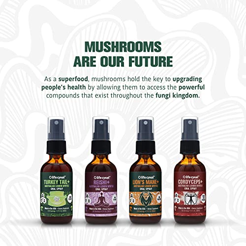 Mushroom supplement for immune health