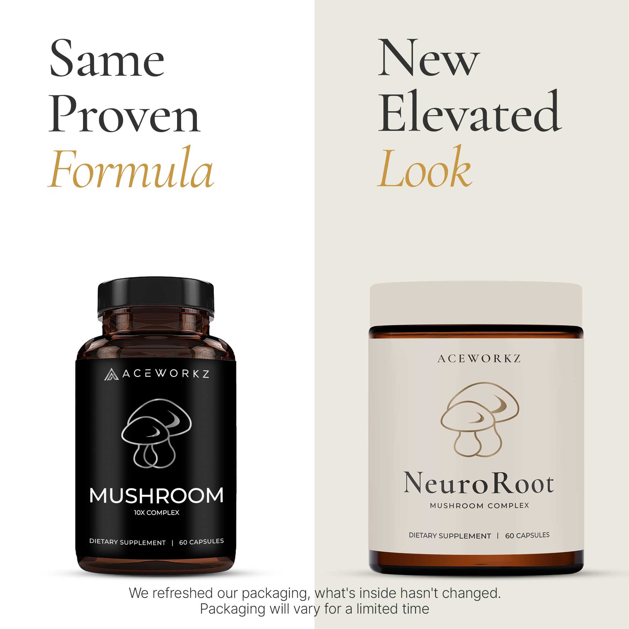 mushroom supplement for immune support