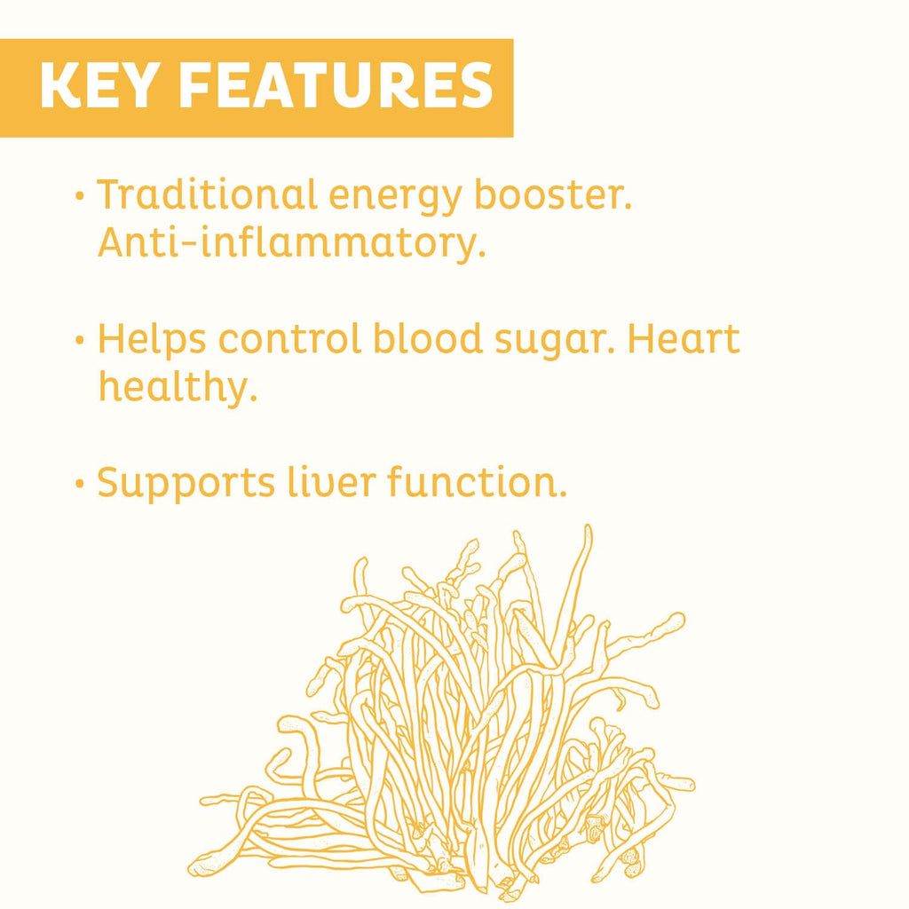 mushroom supplement for immune support
