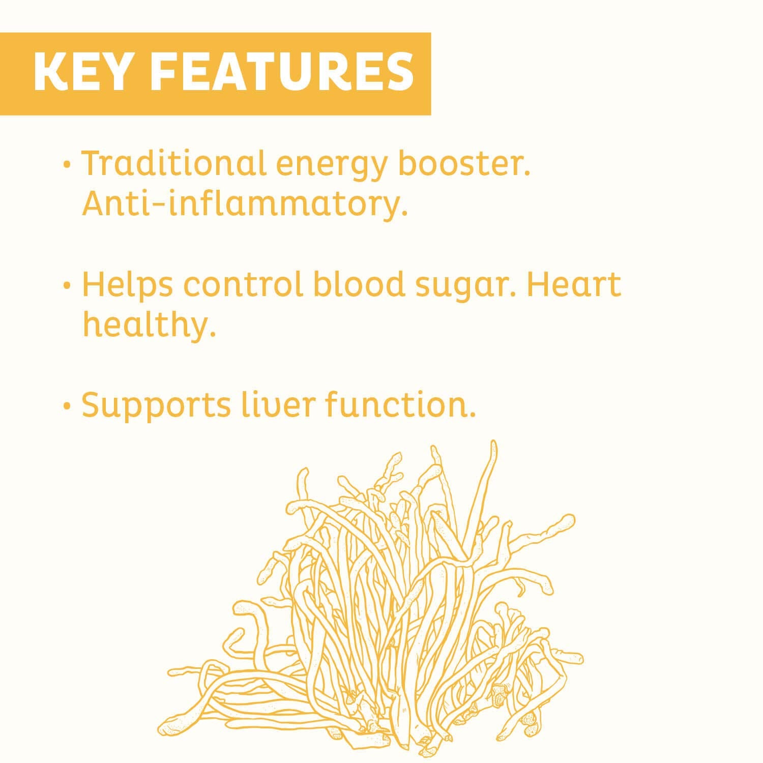 mushroom supplement for immune support