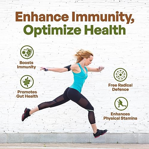 Mushroom supplement for immune support