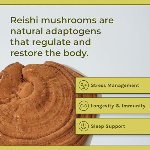 mushroom supplement for immune support