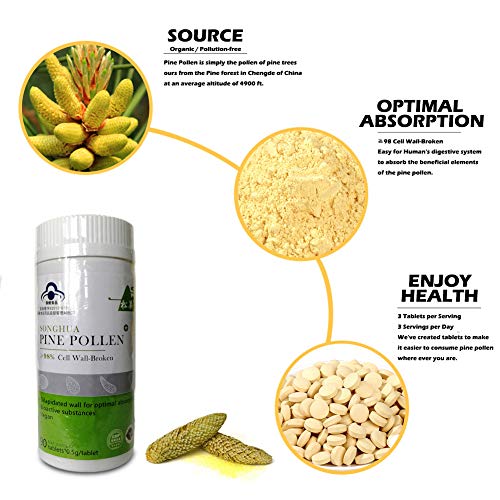mushroom supplement for immune support