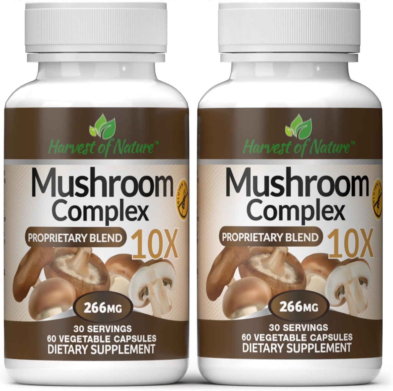 mushroom supplement for immune support