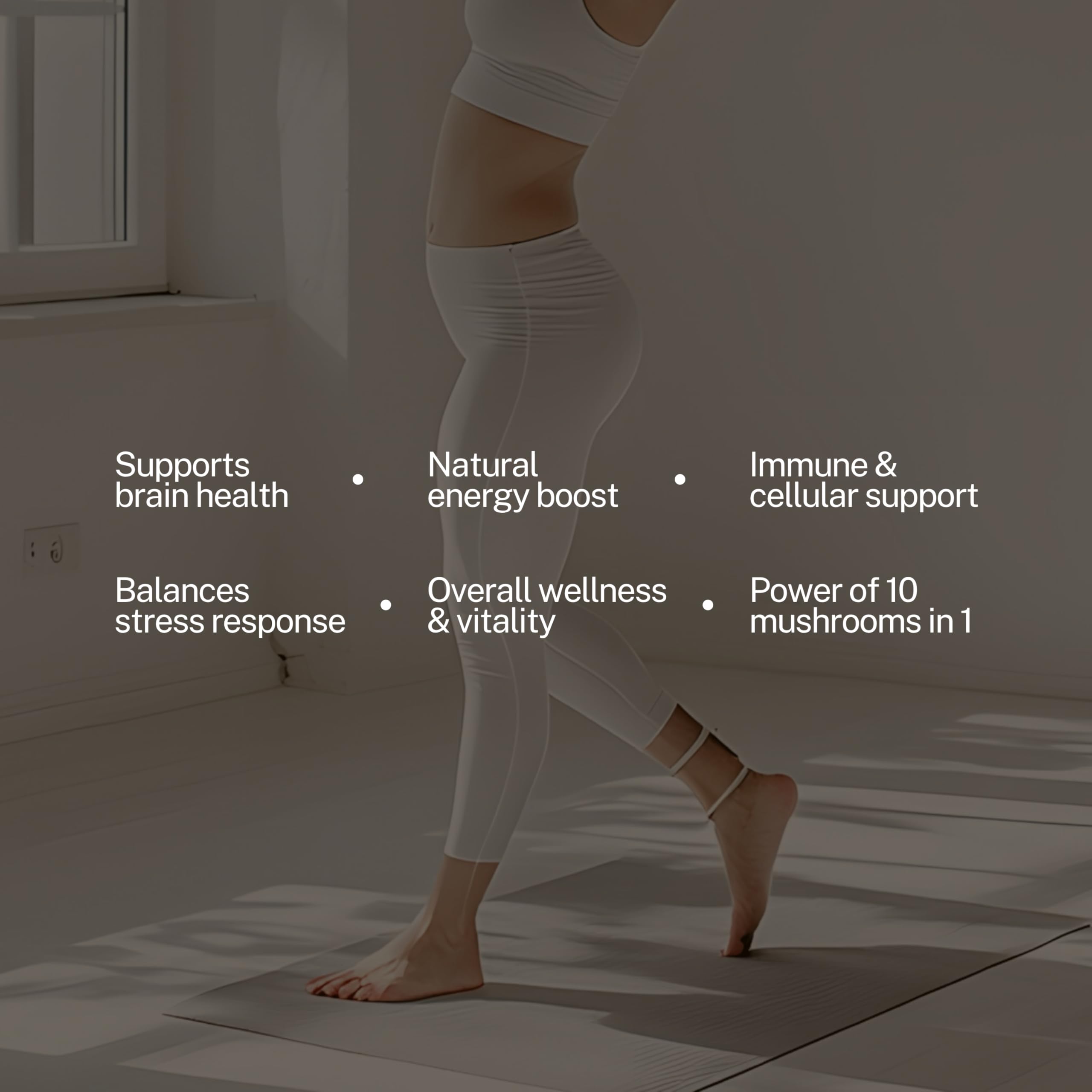mushroom supplement for immunity