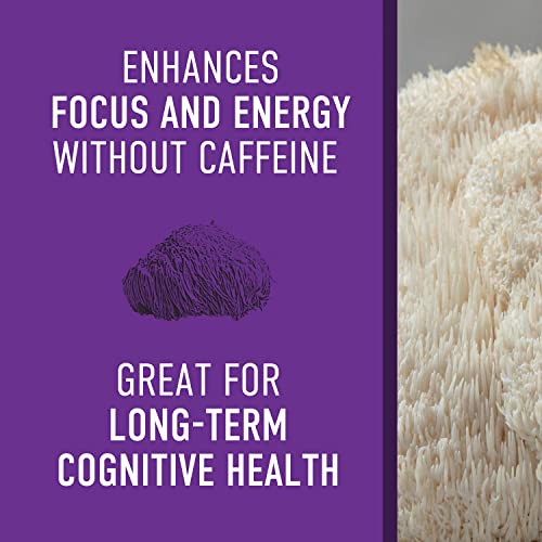 Mushroom supplement for improved focus