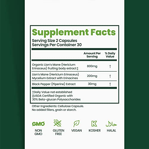 mushroom supplement for improved focus