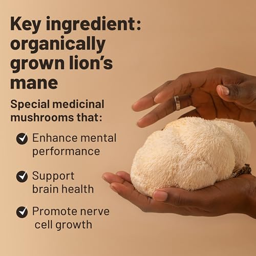 Mushroom supplement for memory boost