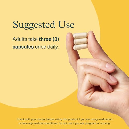 mushroom supplement for memory support