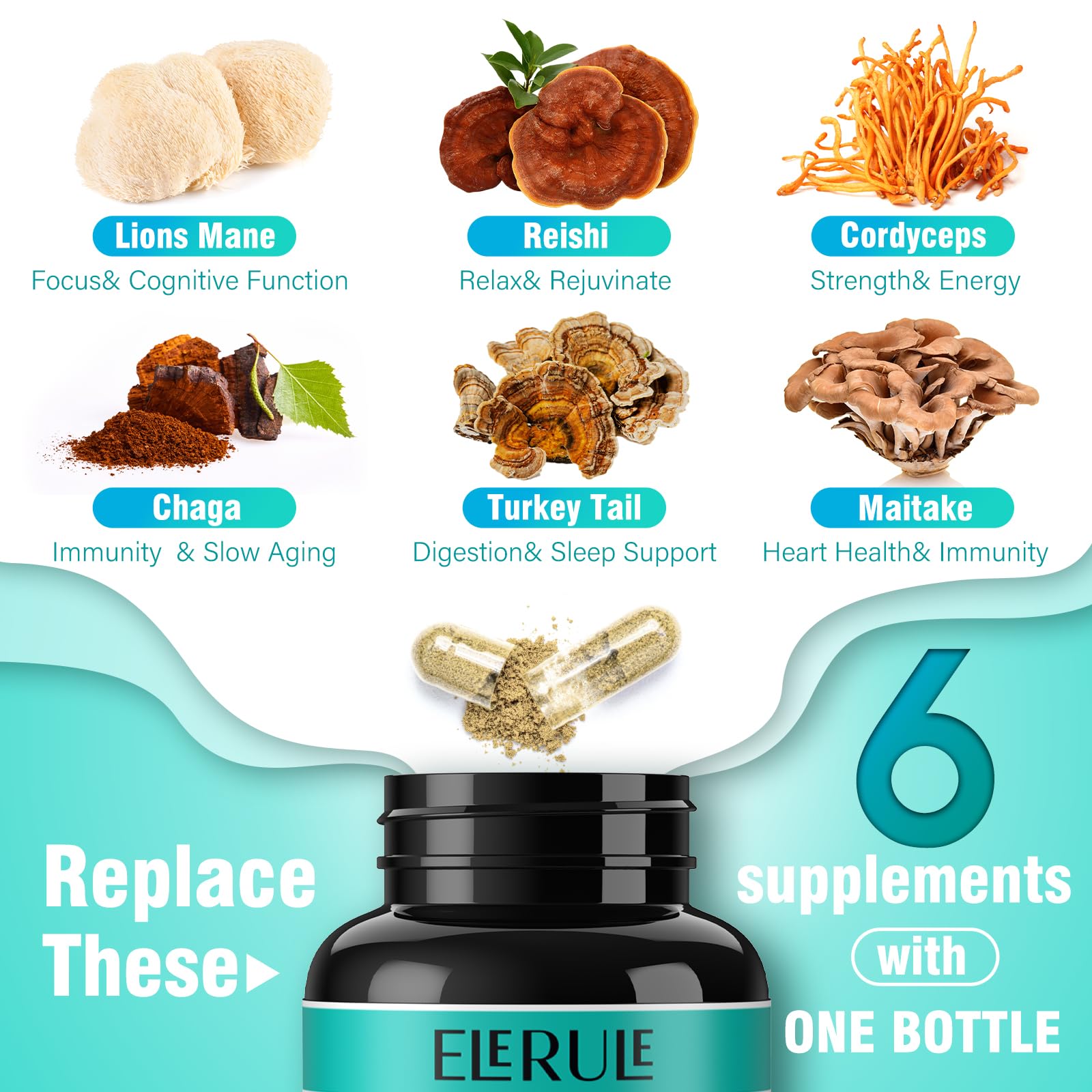 mushroom supplement for memory