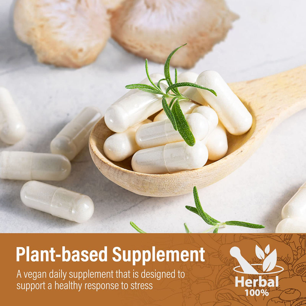 mushroom supplement for mental clarity