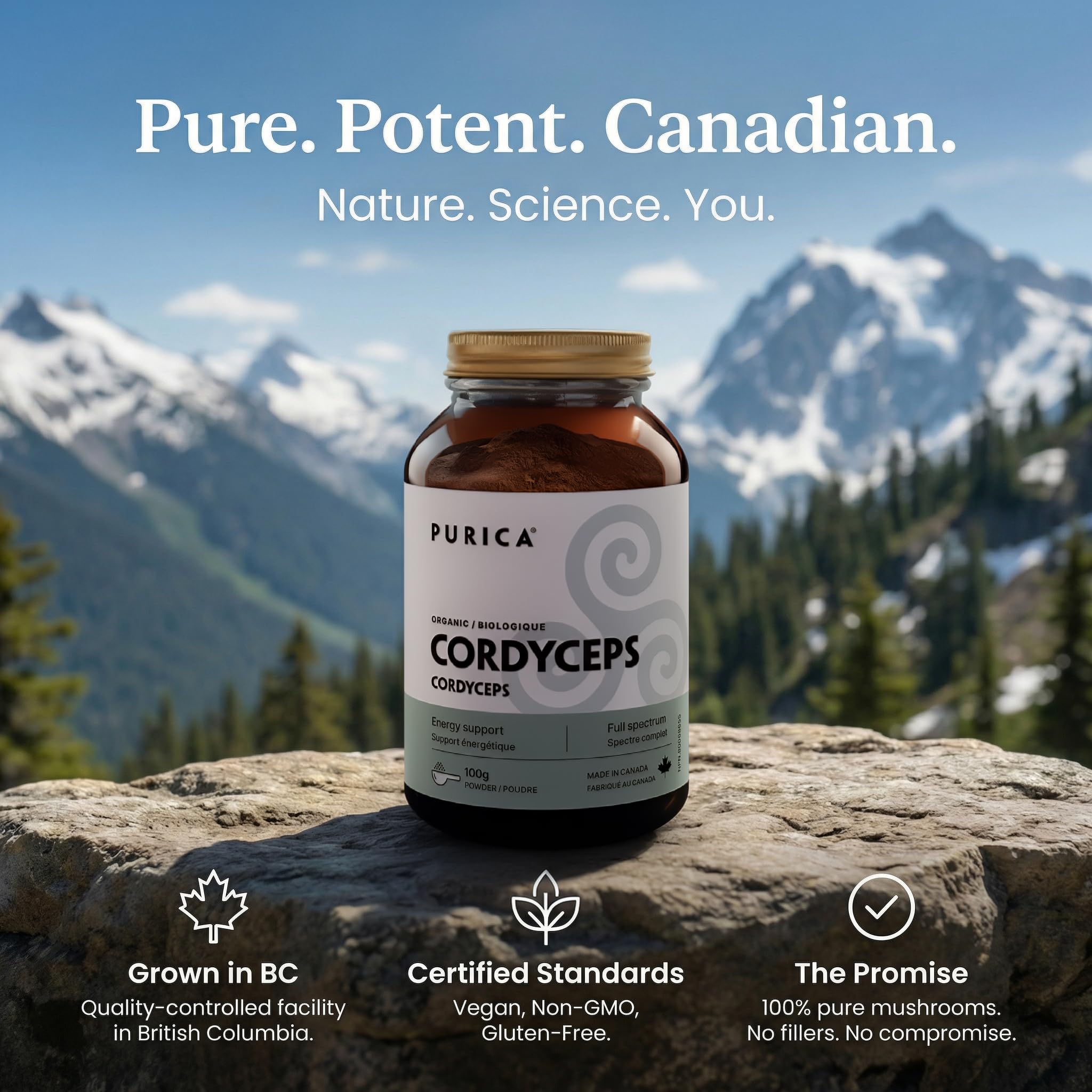mushroom supplement for mental clarity