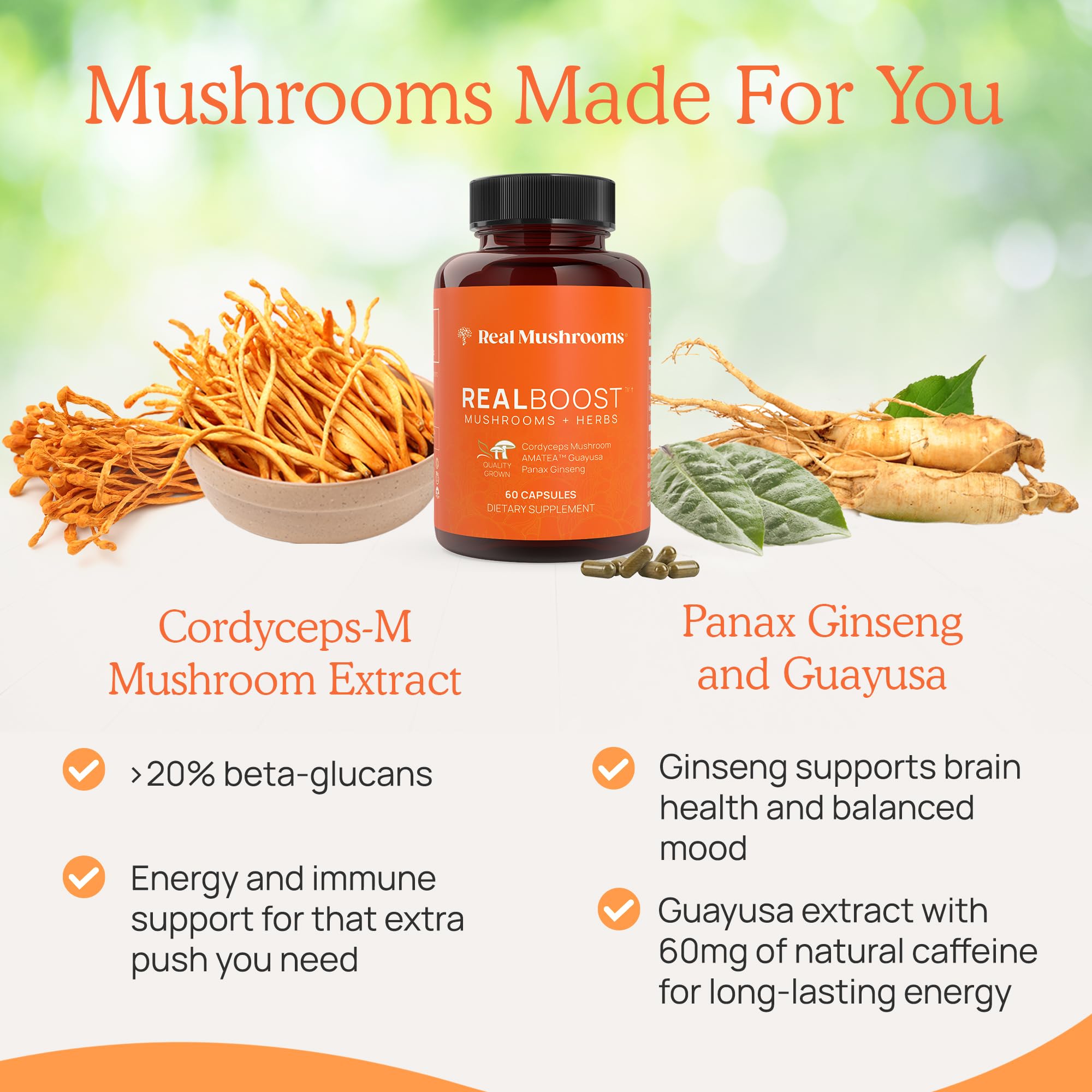 Mushroom supplement for mental clarity