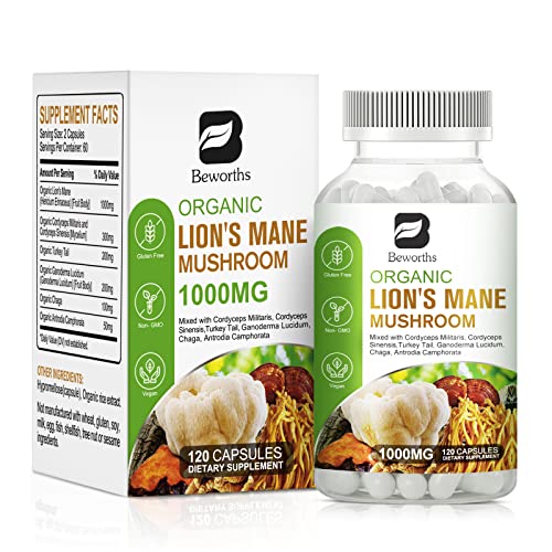 mushroom supplement for mental clarity