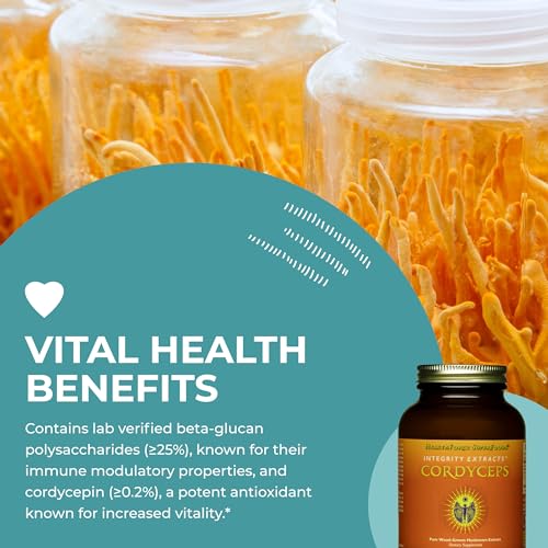 mushroom supplement for mental clarity