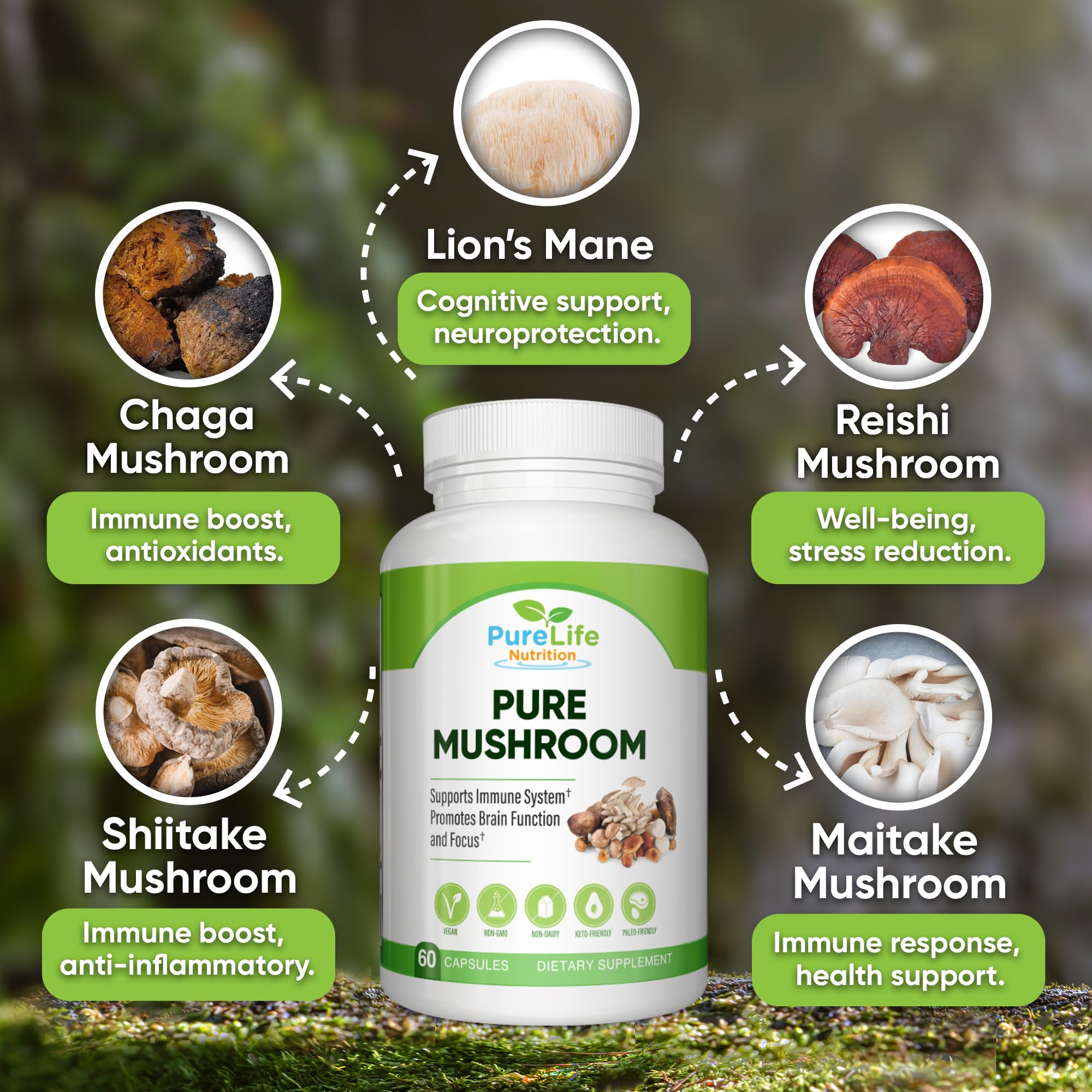 mushroom supplement for mental clarity