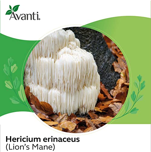 mushroom supplement for mental clarity