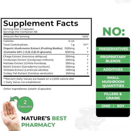 mushroom supplement for mental clarity