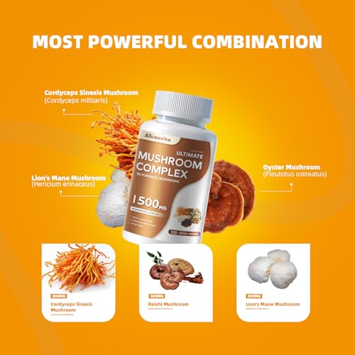 Mushroom supplement for mental performance