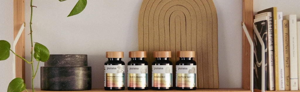 mushroom supplement for mental wellness