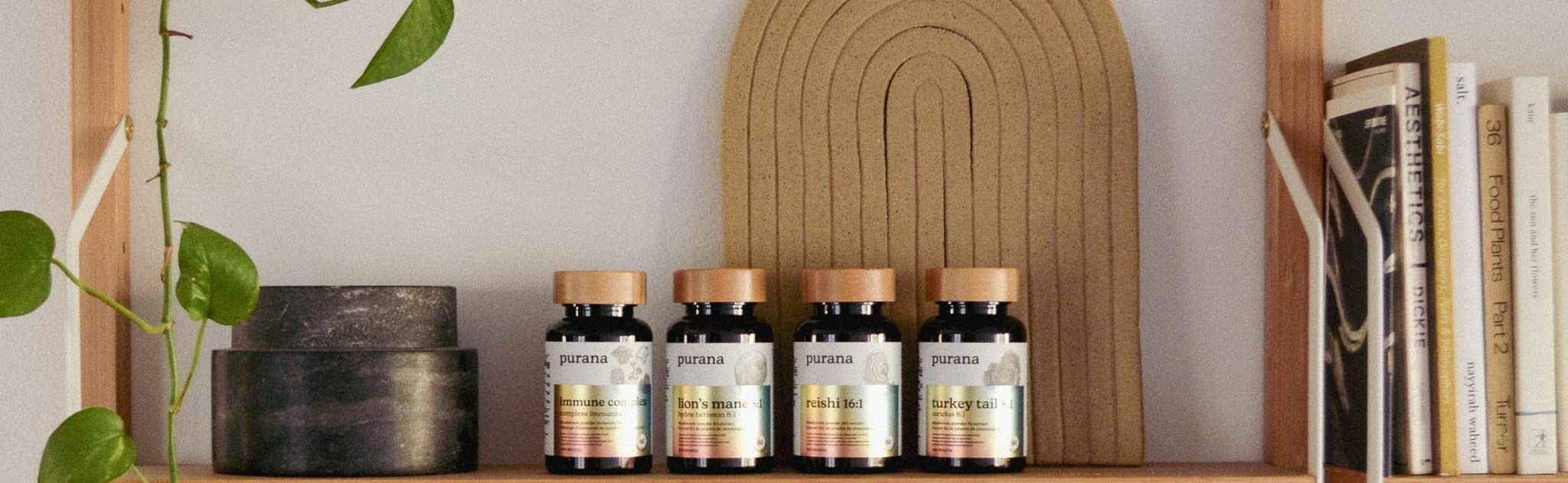 mushroom supplement for mental wellness