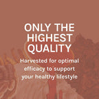 Mushroom supplement for overall vitality