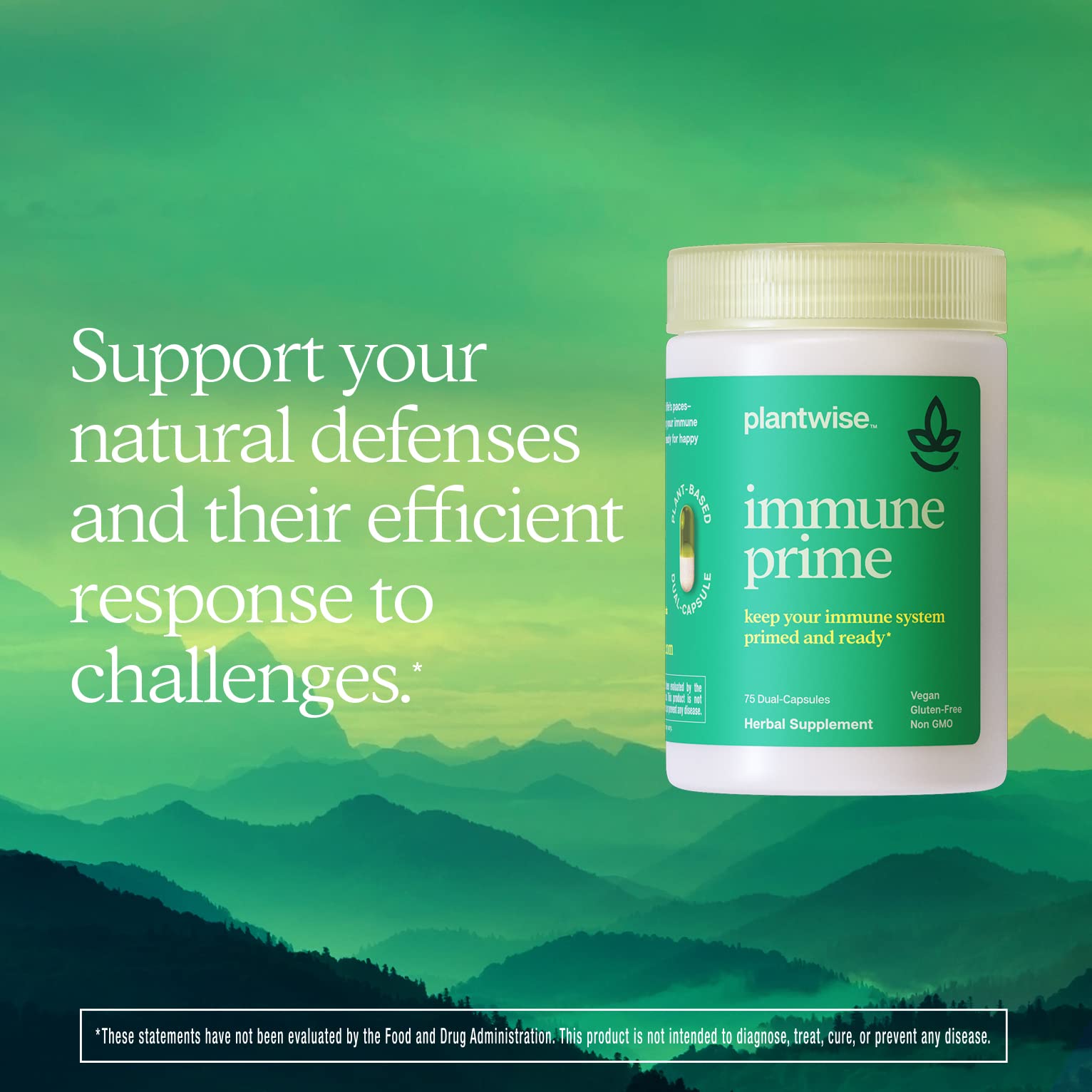 Mushroom supplement for seasonal wellness