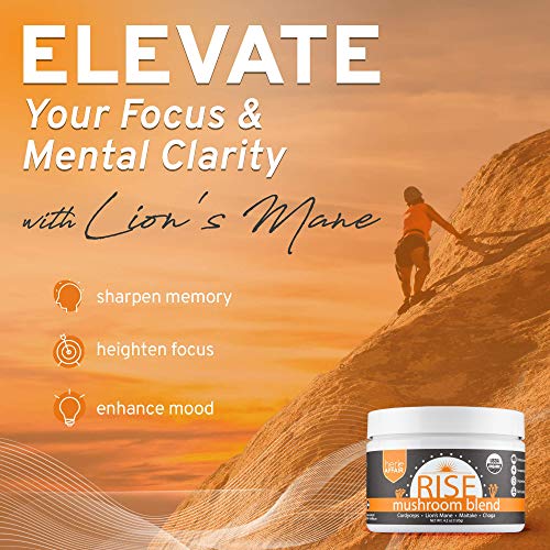 Mushroom supplement for stress relief