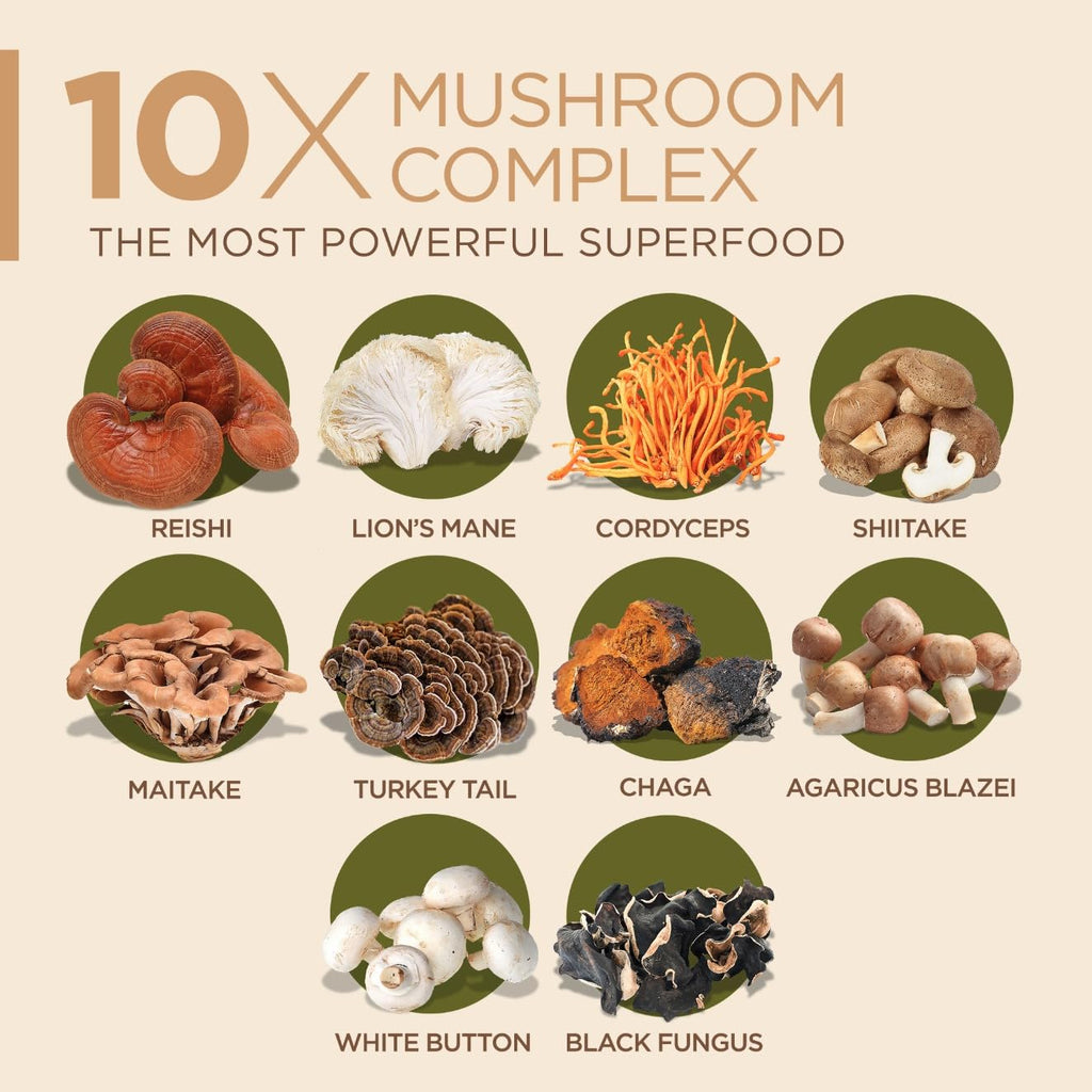 mushroom supplement for stress relief